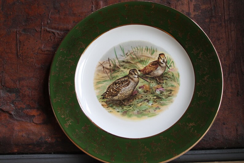 Weatherby Hanley England Royal Falcon Ware 1-77 Plates | Etsy