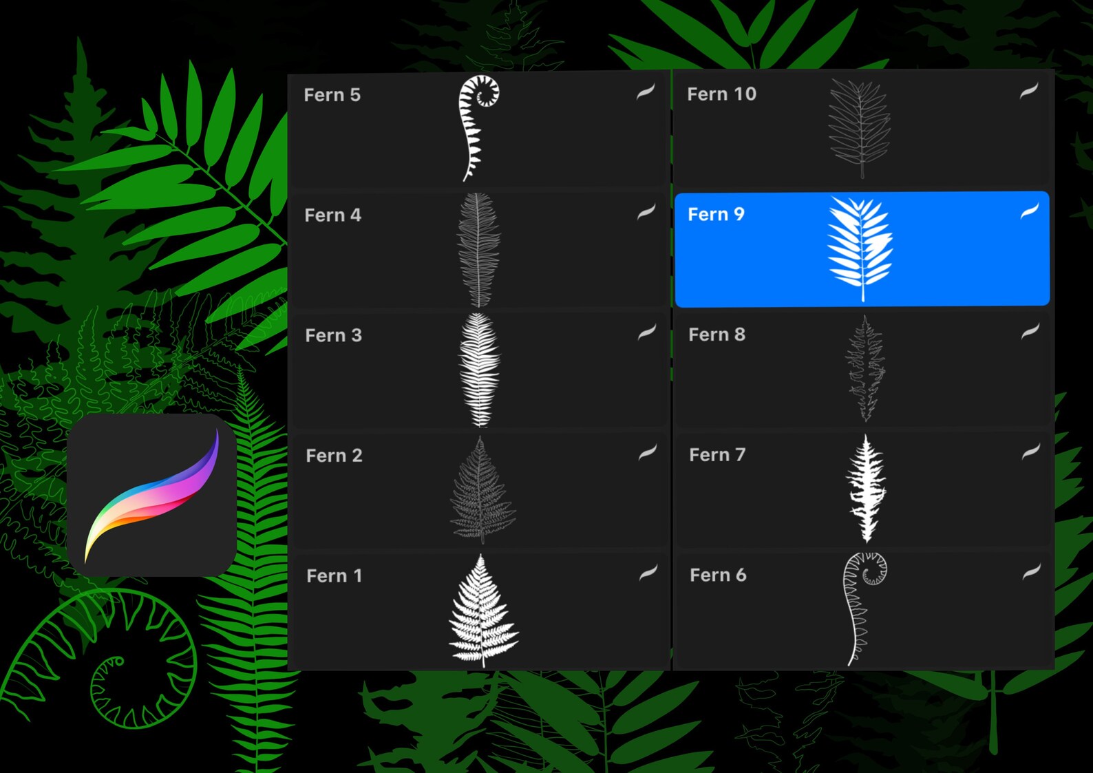 10 fern leaves Procreate brush stamps Procreate digital | Etsy