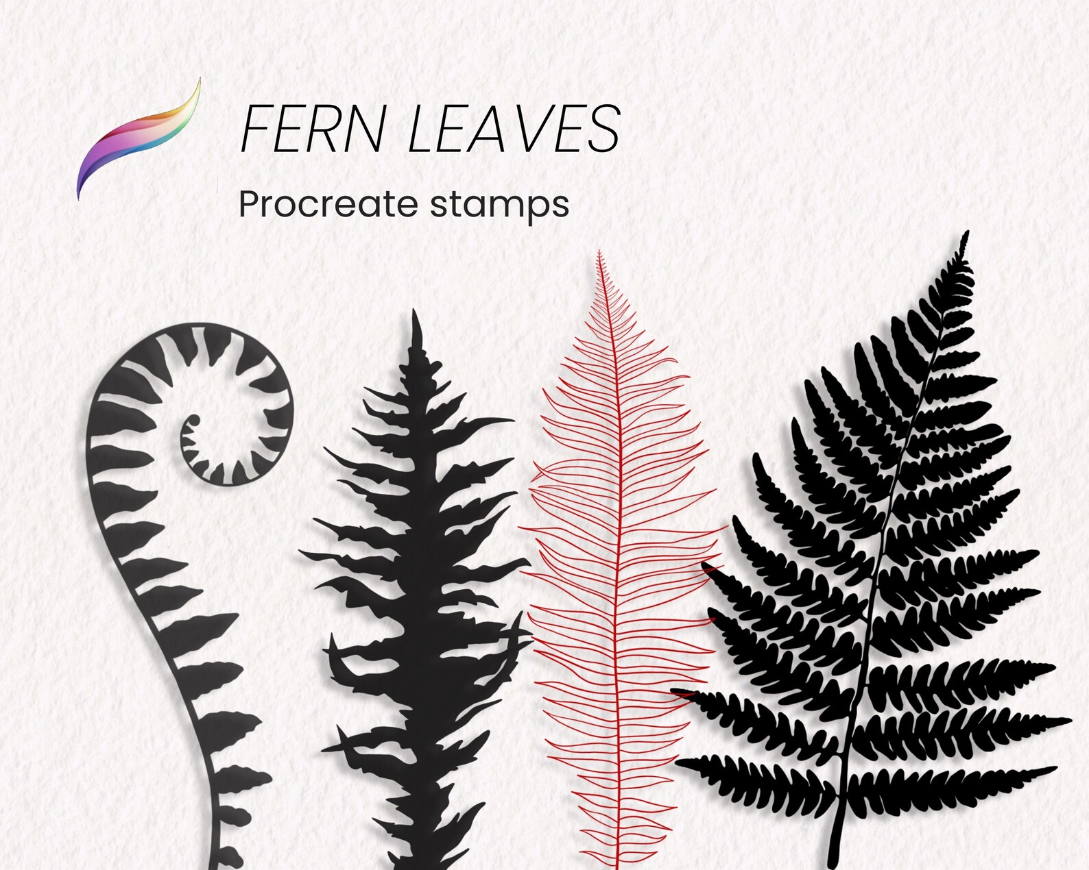 10 Fern Leaves Procreate Brush Stamps Procreate Digital - Etsy