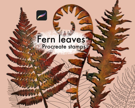 10 Fern Leaves Procreate Brush Stamps Procreate Digital | Etsy