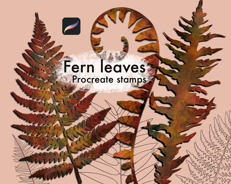 10 Fern Leaves Procreate Brush Stamps Procreate Digital | Etsy