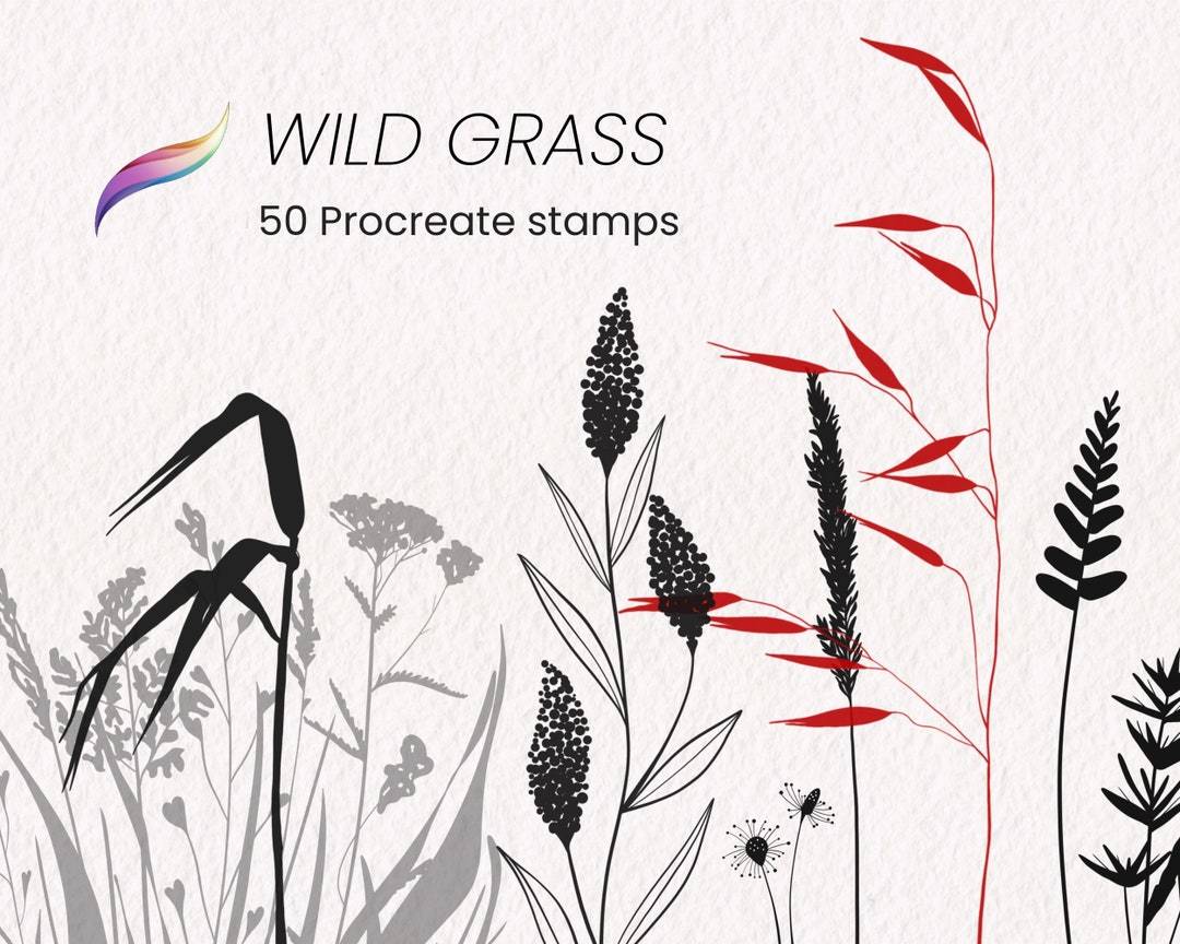 Prairie Grass Drawing