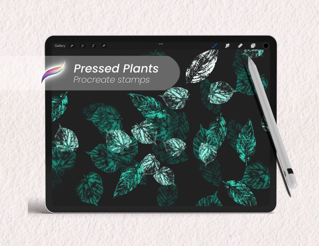22 Pressed Plants Procreate Stamps | Dipped in Real Paint Leaves and ...