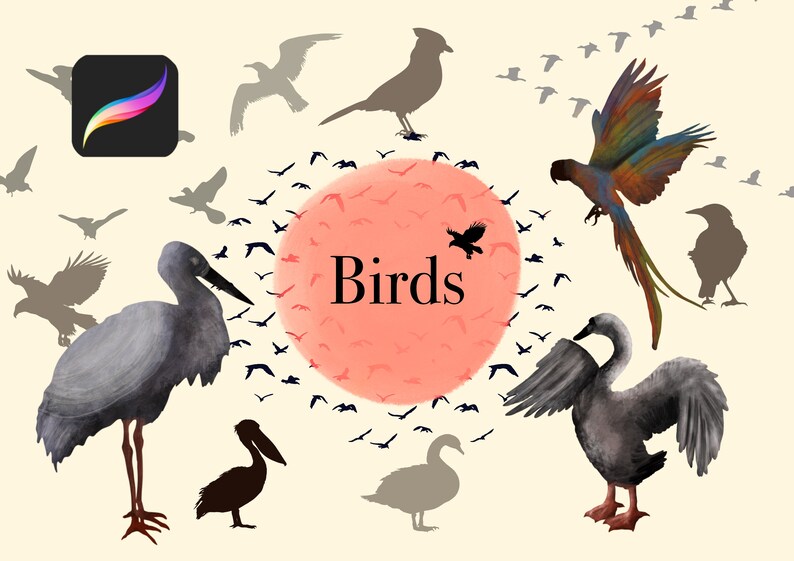 21 Bird Procreate stamp brushes Digital brushes for | Etsy