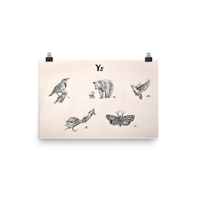 Ys Hand-drawn Poster Print Handmade Illustration Animal - Etsy
