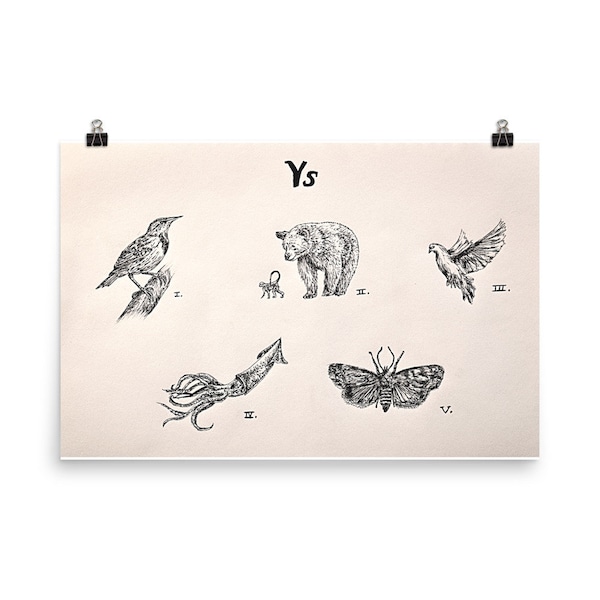 Animal Drawing - Etsy