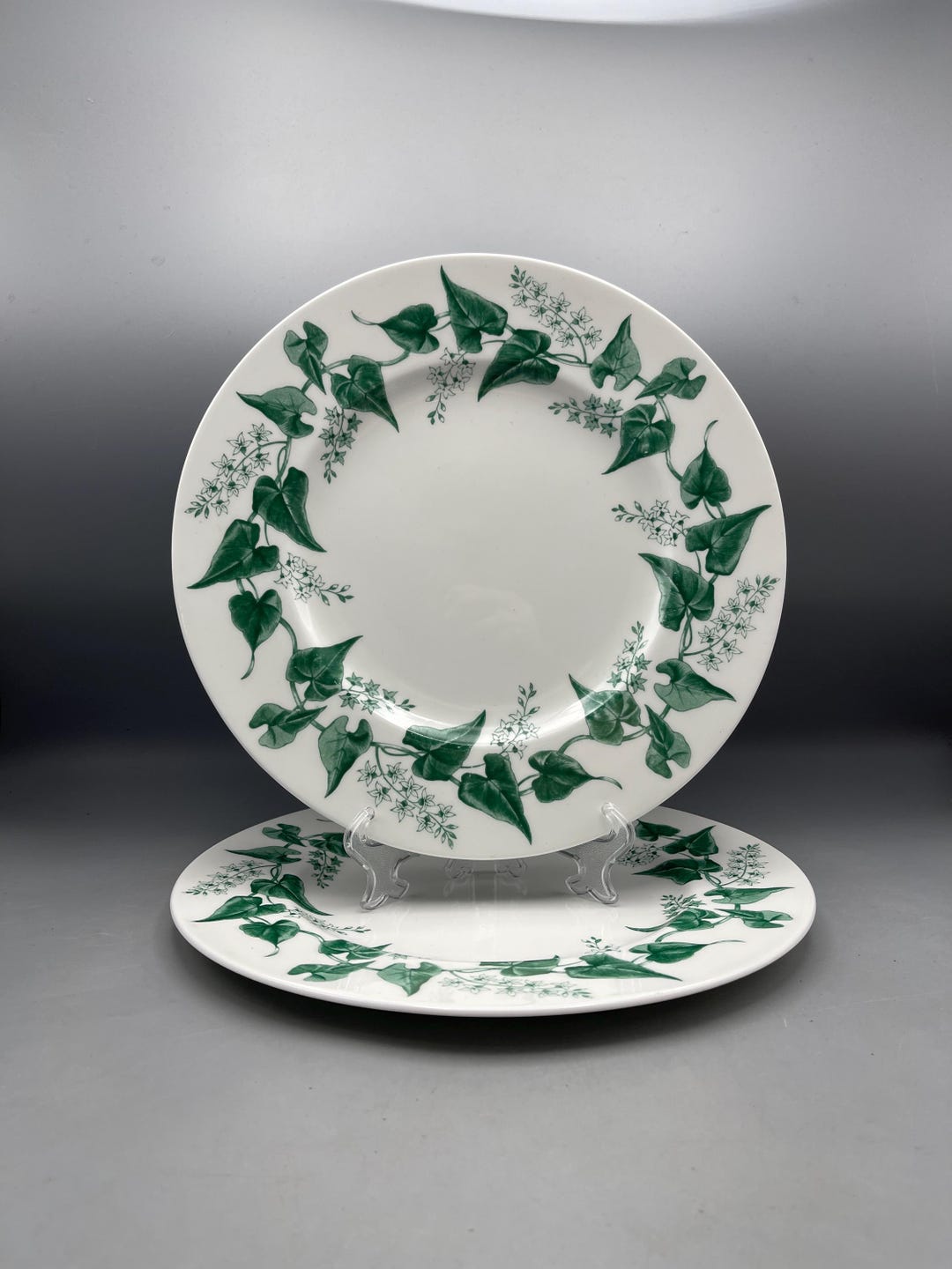 Wedgwood Buxton Green Ivy Dinner Plates Set of 2 - Etsy
