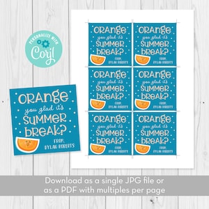 Editable Summer Break Gift Tag Template, Teacher Student School Orange ...