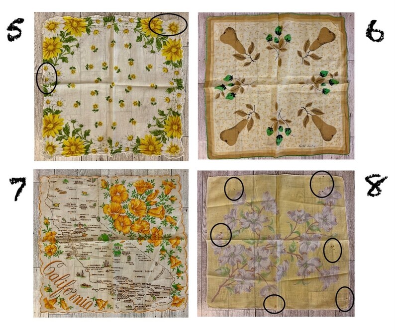 Vintage Handkerchief Assortment Selection States Flowers Variety of ...