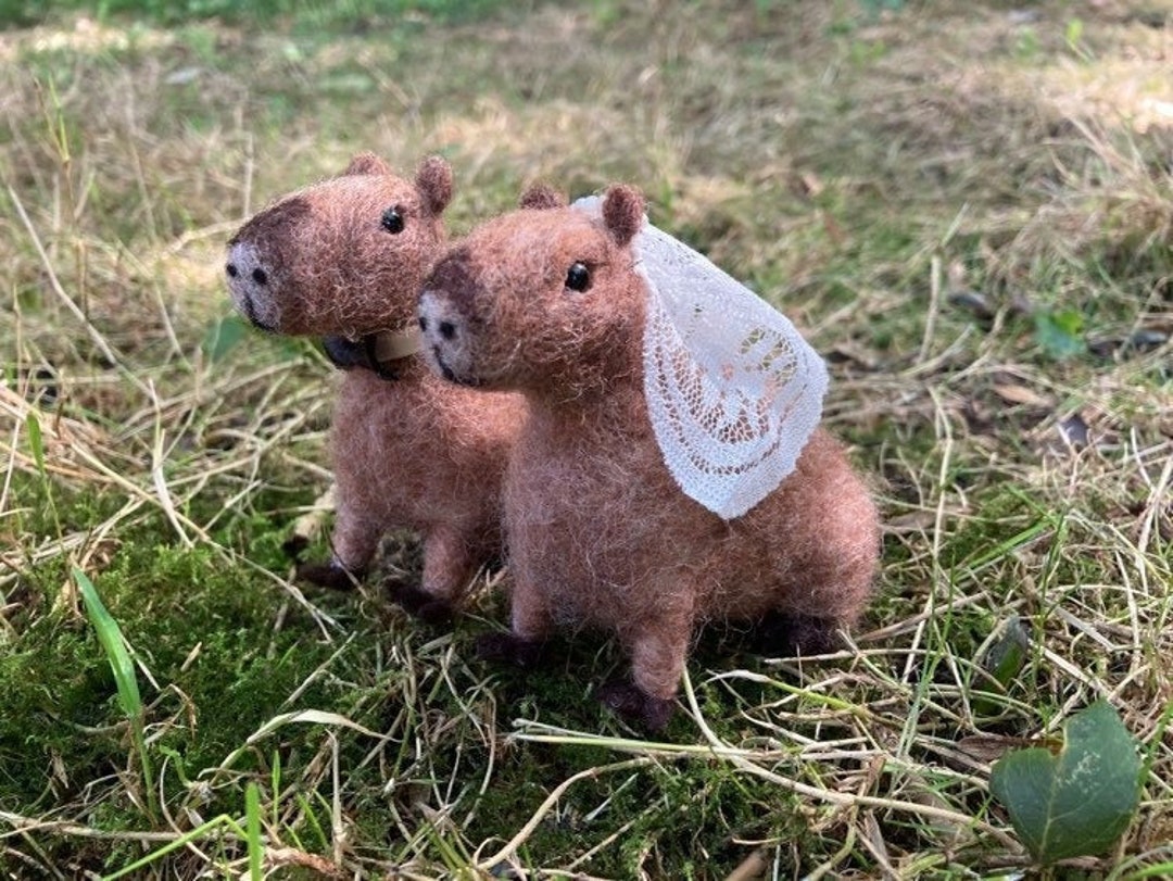 Capybara Bride and Groom - Needle Felted Wedding / Anniversary ...