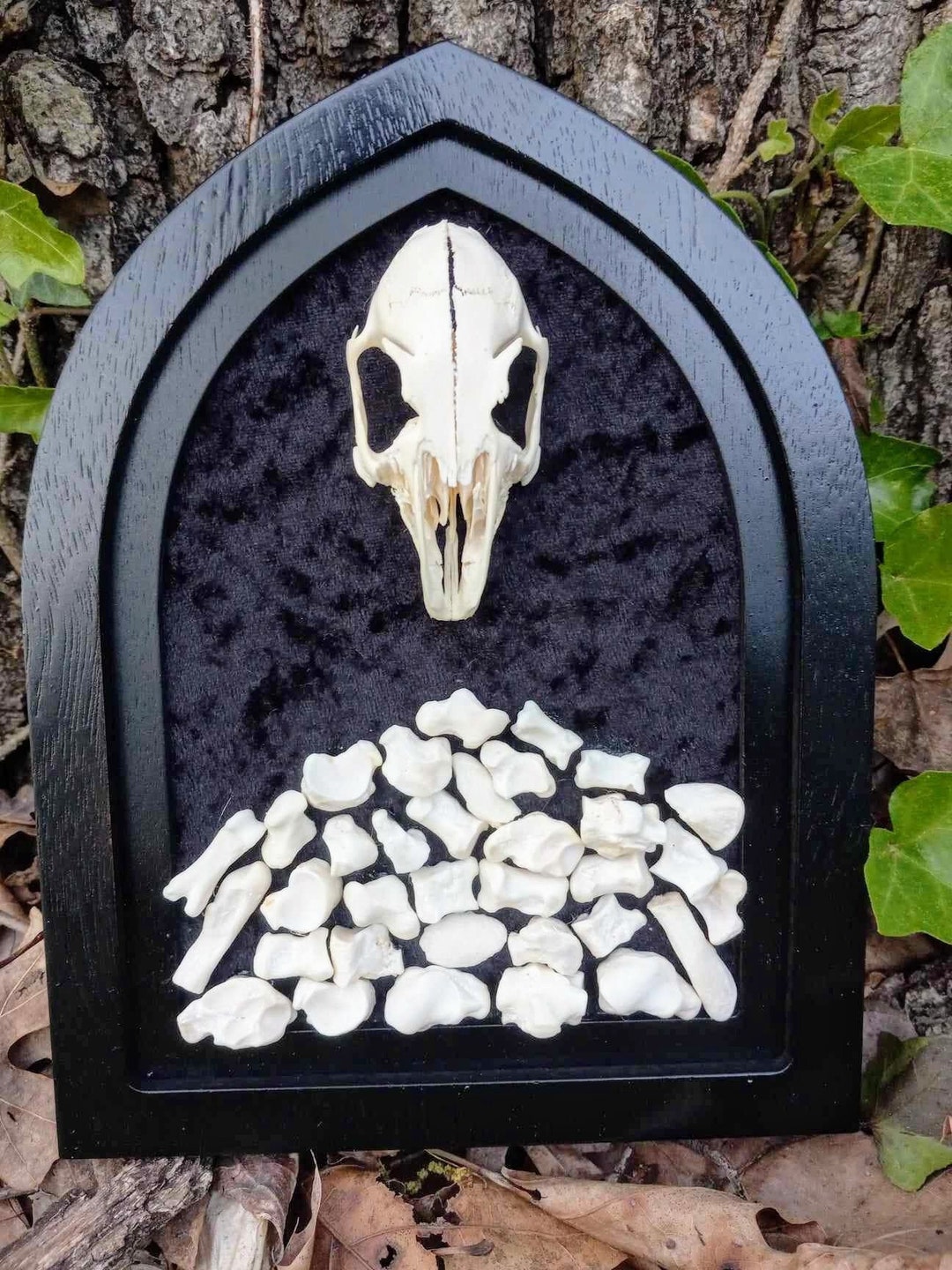 Dark Gothic Bone Art. Rabbit Skull on Black Velvet . - Etsy