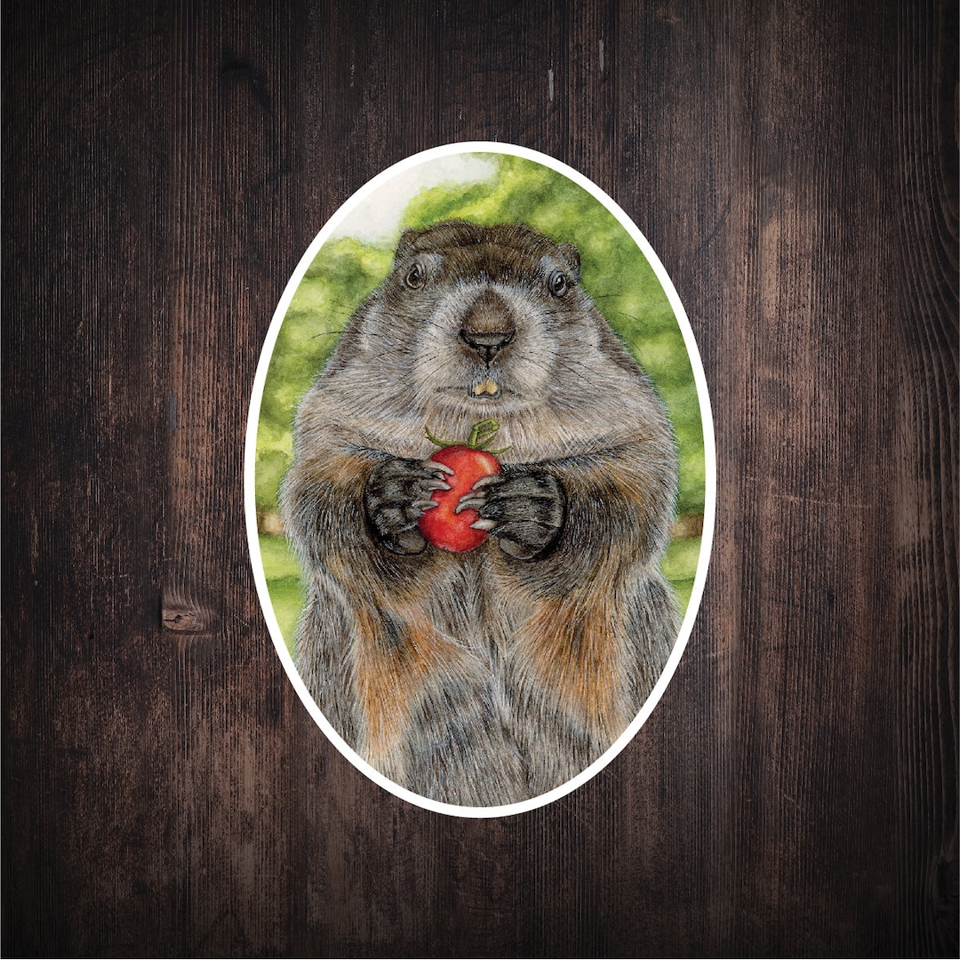 Walter the Groundhog Sticker Art Sticker Wildlife Sticker Groundhog ...