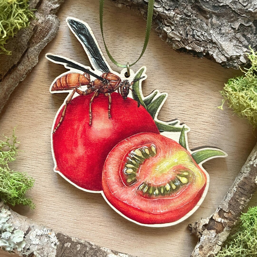 Wasp Ornament - Insect Gifts | Sustainable Wood | Holiday | Red Paper ...