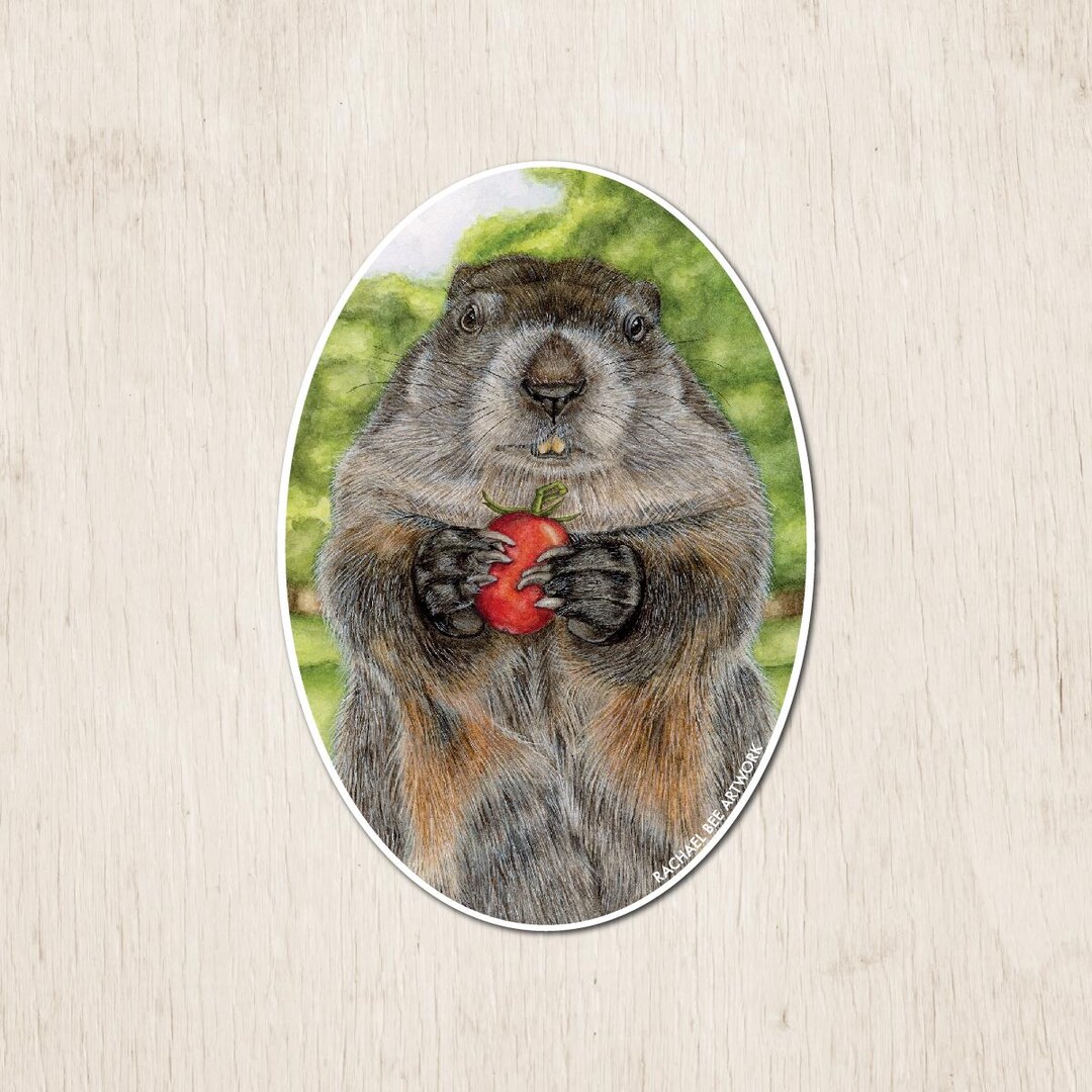 Walter the Groundhog Sticker | Art Sticker | Wildlife Sticker ...