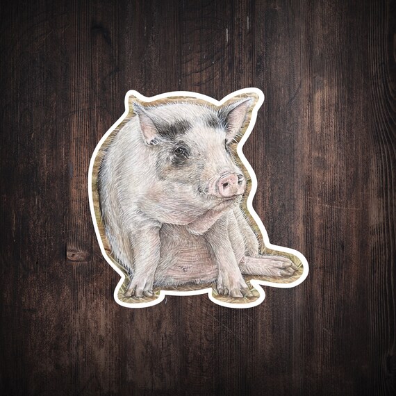 Patti the Pig Sticker Watercolor Art Sticker Pig Sticker - Etsy