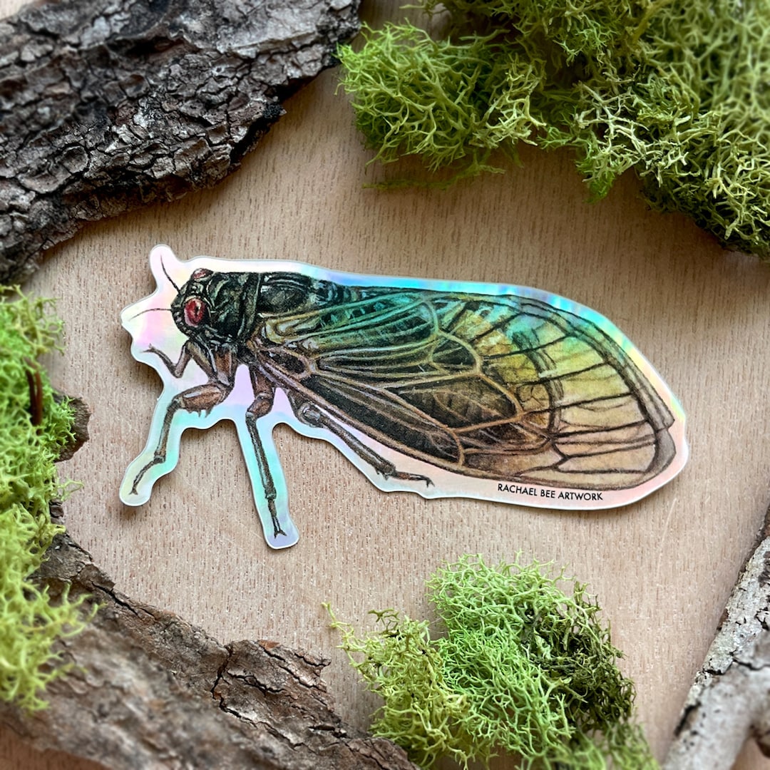 Periodical Cicada Holographic Sticker limited Edition Cicada Sticker ...