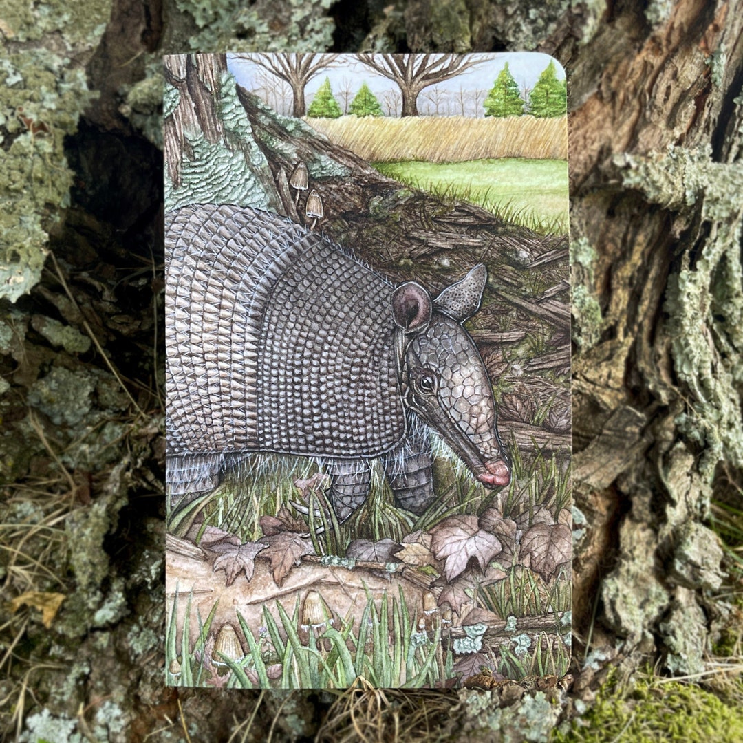 Armadillo Journal Nine-banded Armadillo Nature Journal Nature Lovers ...