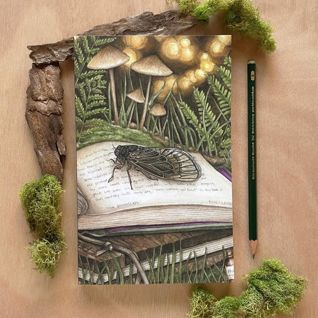 Insect Journal - Periodical Cicada | Insect Gifts | Nature Journal ...