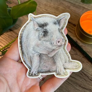 Patti the Pig Sticker Watercolor Art Sticker Pig Sticker Pig Gifts ...