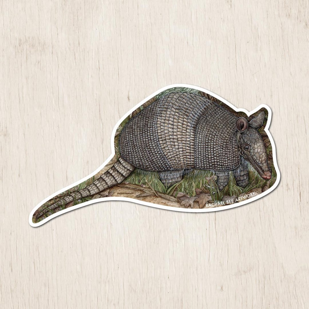 Nine-banded Armadillo Sticker | Watercolor Art Sticker | Armadillo ...