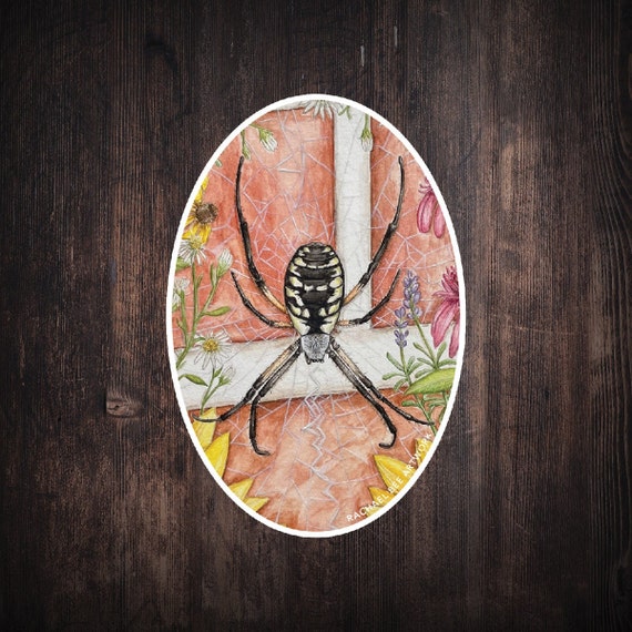 Garden Spider Sticker Watercolor Art Sticker Spider - Etsy