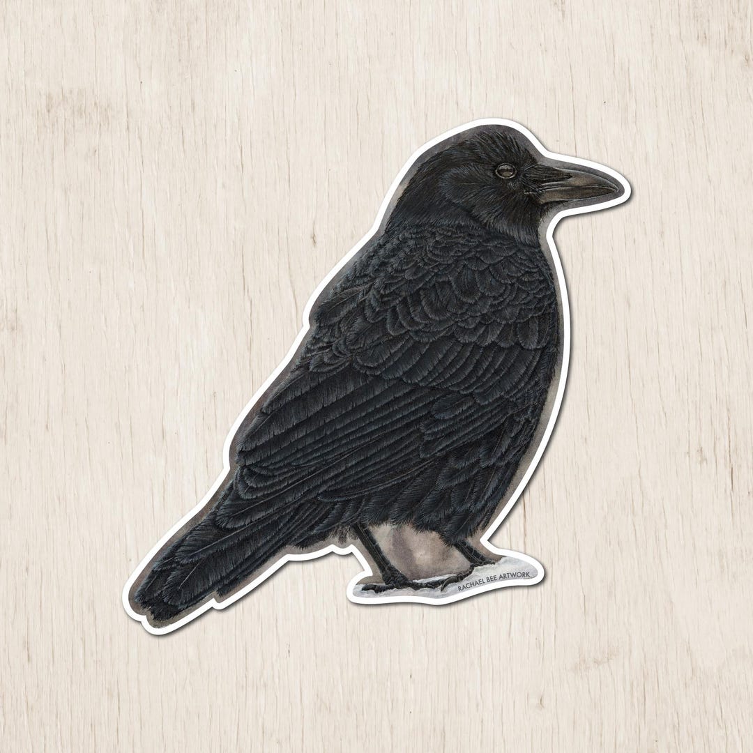 Crow Sticker | American Crow | Bird Sticker | Bird Gifts | Crow Art ...