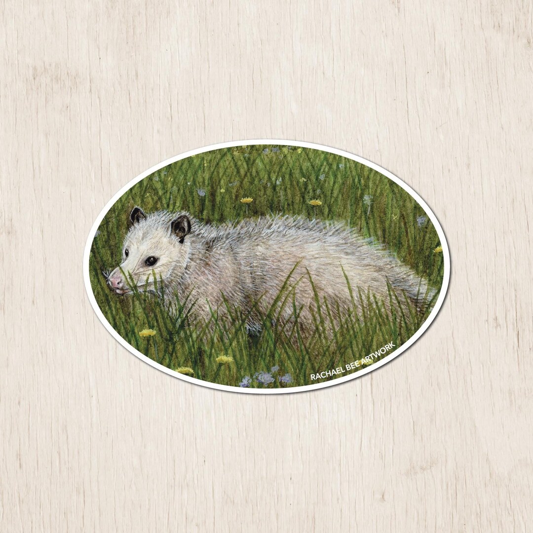 Opossum Sticker | Virginia Opossum | Wildlife Sticker | Opossum Gifts ...