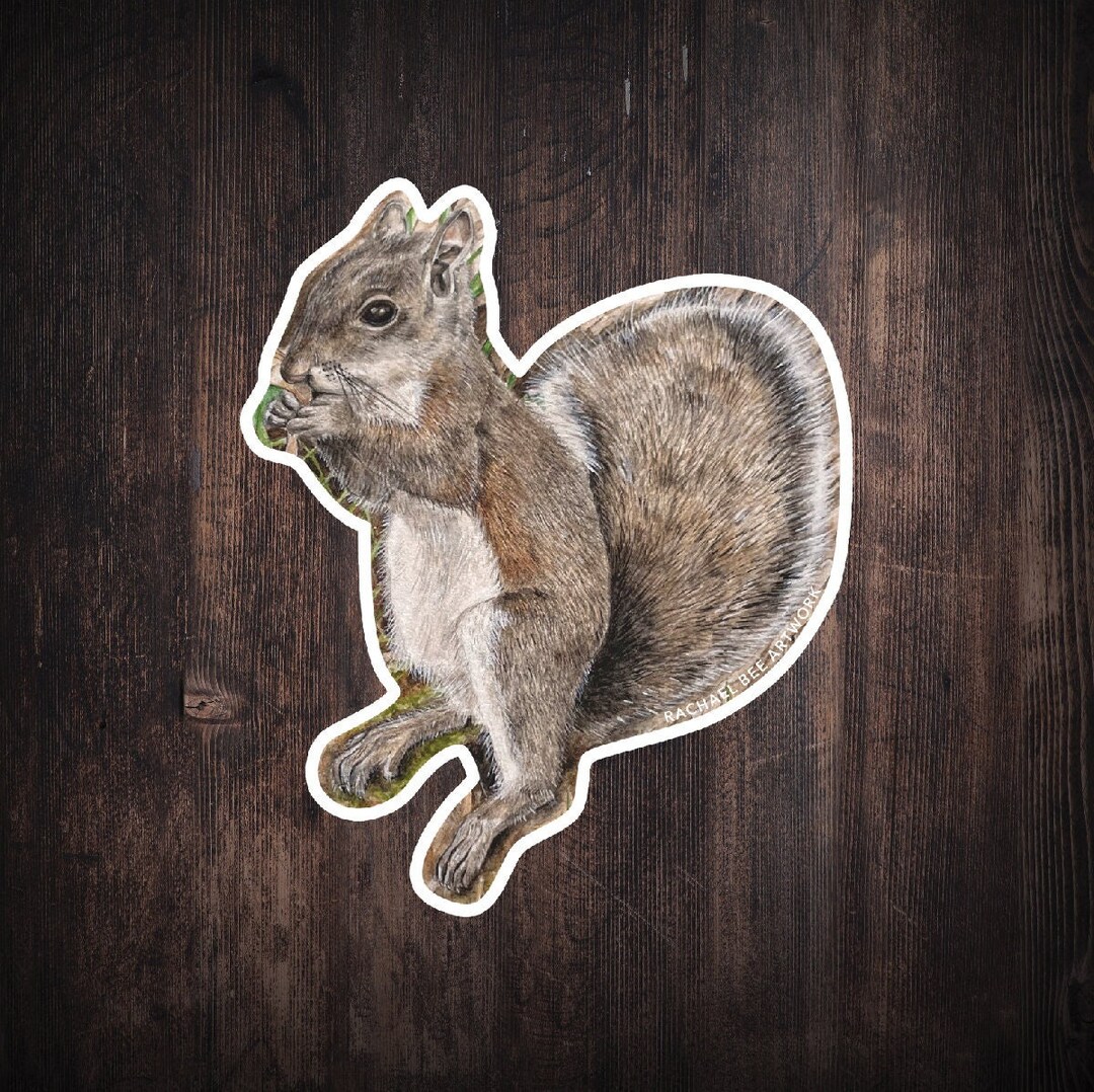 Squirrel Sticker Watercolor Art Sticker Wildlife Sticker Squirrel Gift ...