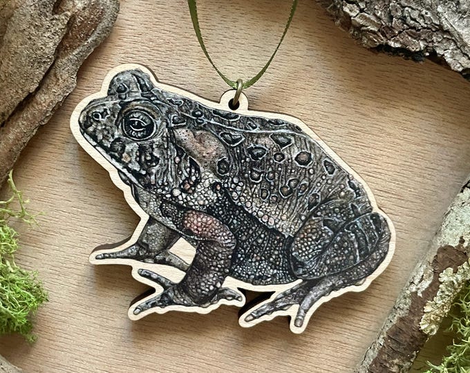 Natterjack Toad Decoration - Rare British Breeds Wooden - Endangered ...