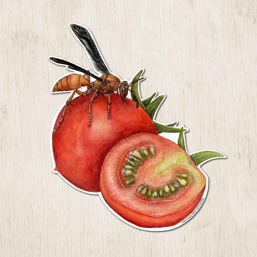 Red Paper Wasp Sticker | Wasp Sticker | Insect Gifts | Nature Sticker ...