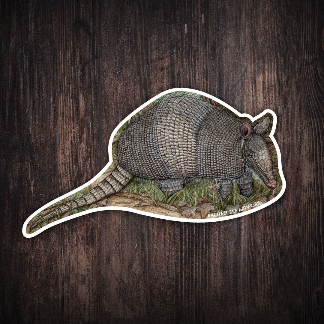 Nine-banded Armadillo Sticker Watercolor Art Sticker Armadillo Sticker ...