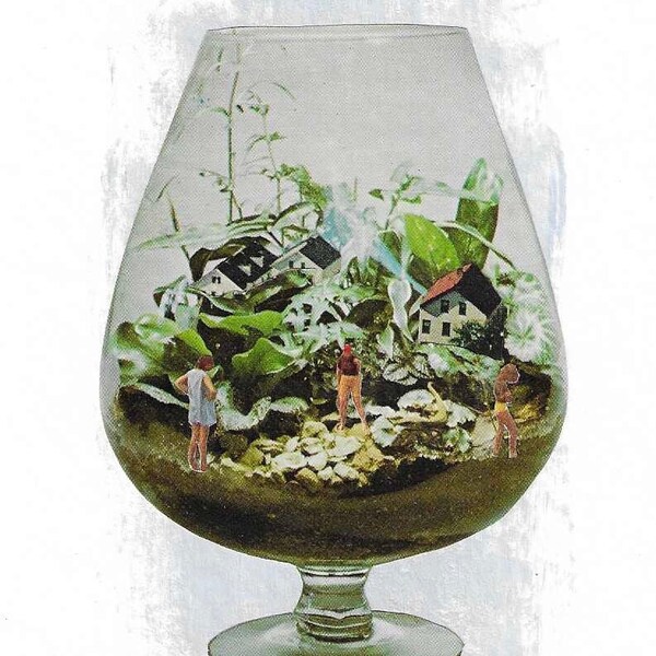 Terrarium Painting - Etsy