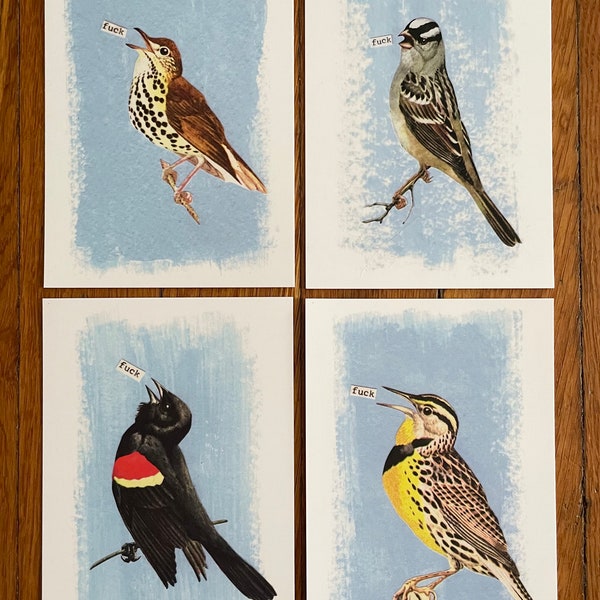 Bird Postcards - Etsy