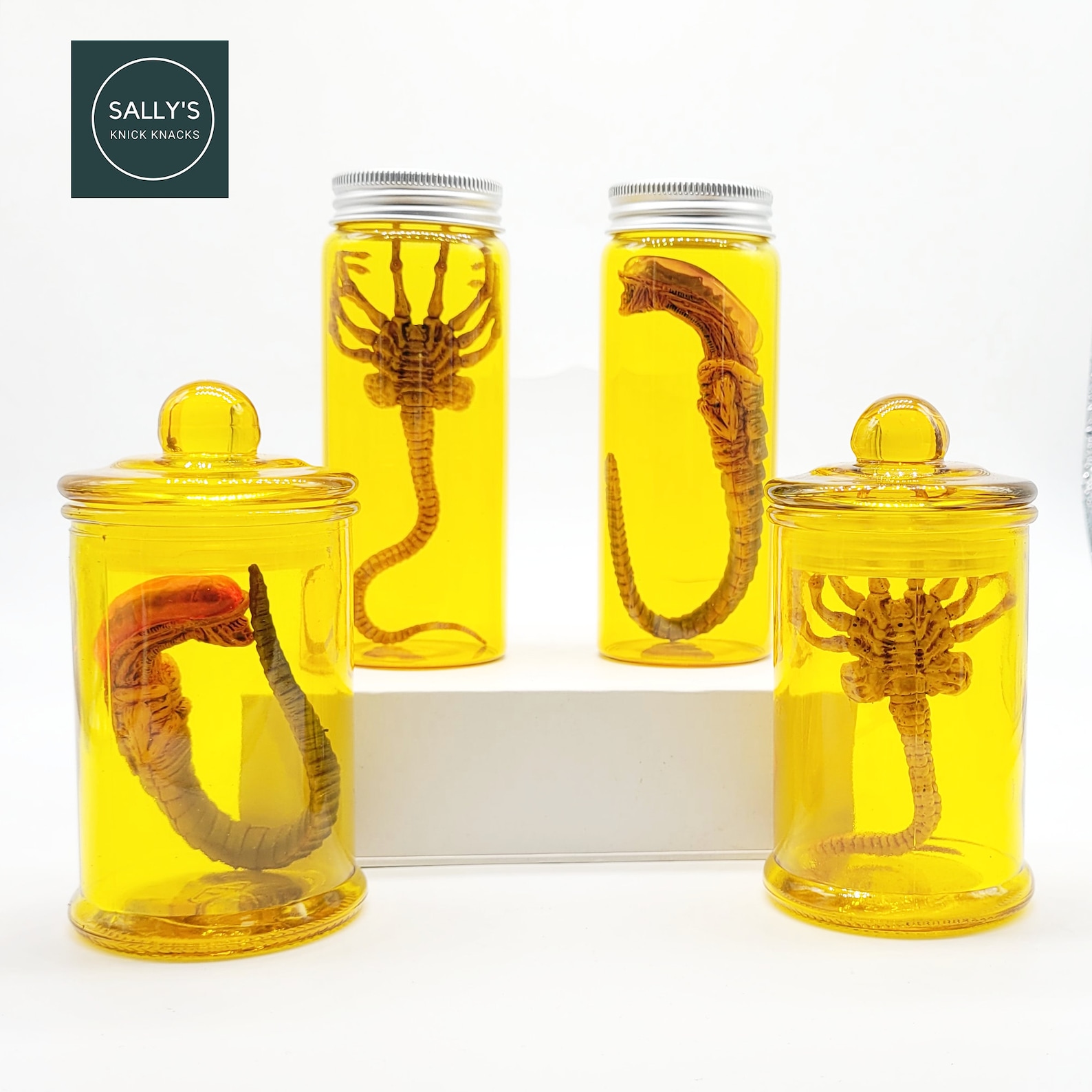 Alien Xenomorph Horror Science Experiment facehugger/ - Etsy