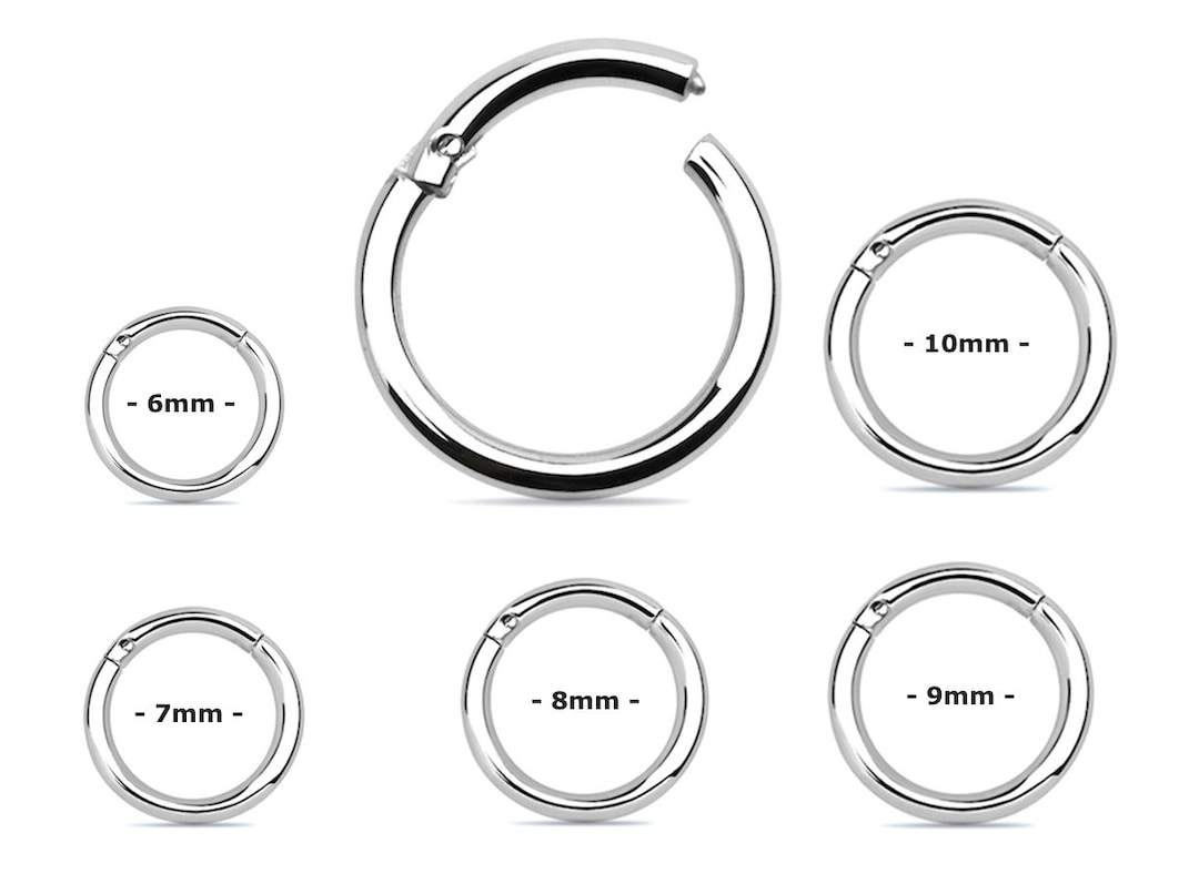 925 Sterling Silver Clicker Hinged Hoop Segment Seamless Ring 5mm - 16mm /18g (1.0mm) 16g (1.2mm ...