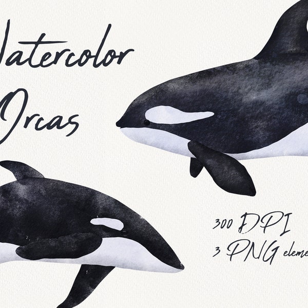 Watercolor Orca Clipart - Etsy