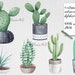 Watercolor Cactus Clipart JPG and PNG, Watercolor Succulents, House ...