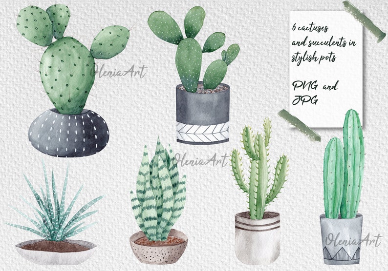Watercolor Cactus Clipart JPG and PNG, Watercolor Succulents, House ...