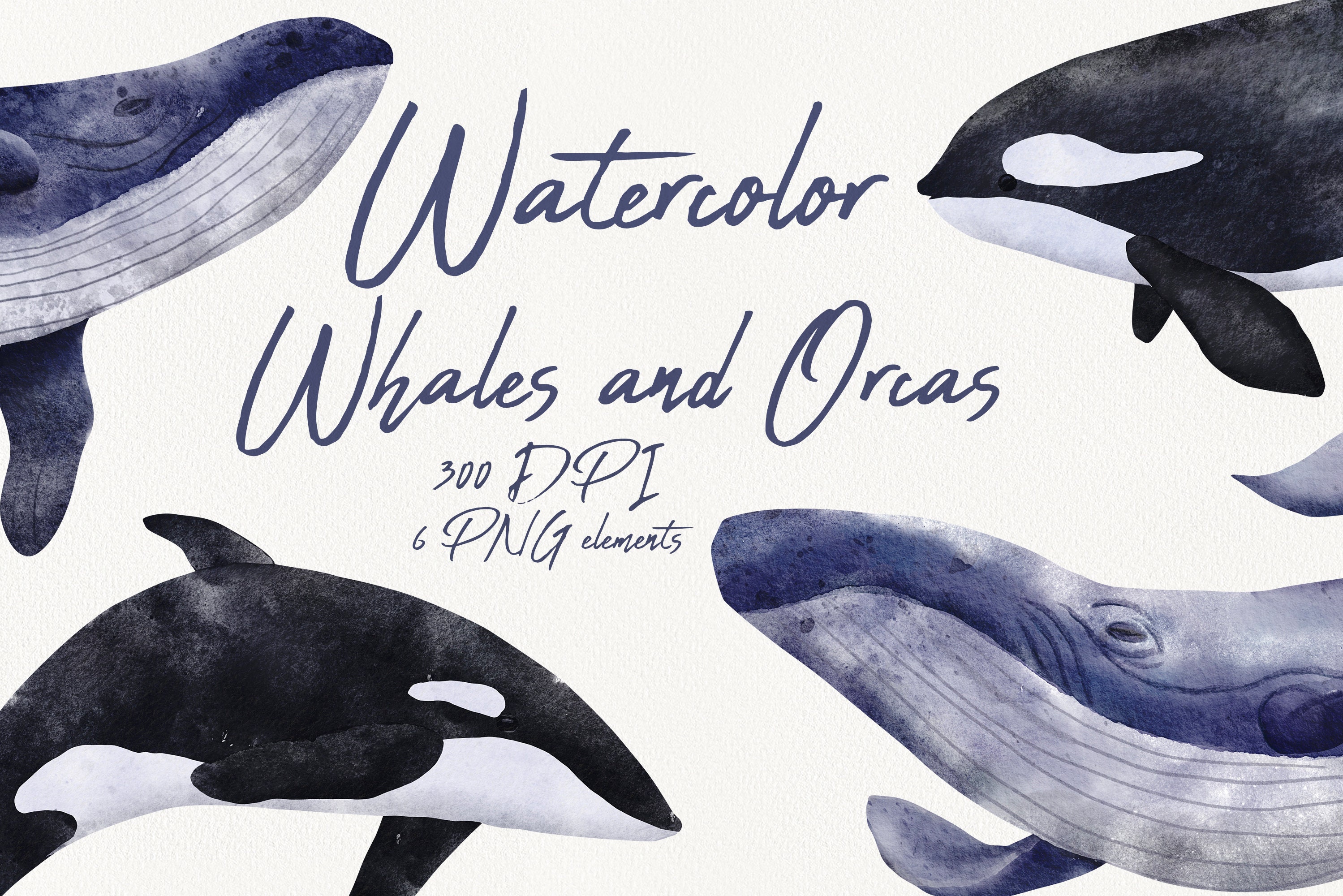 Watercolor Whales Clipart, Instant Download, Blue Whales, Whales Set ...