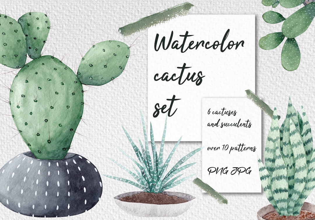 Watercolor Cactus Clipart JPG and PNG, Watercolor Succulents, House ...