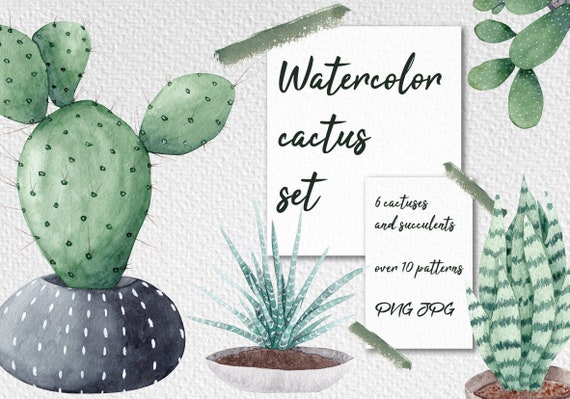 Watercolor Cactus Clipart JPG and PNG Watercolor Succulents | Etsy