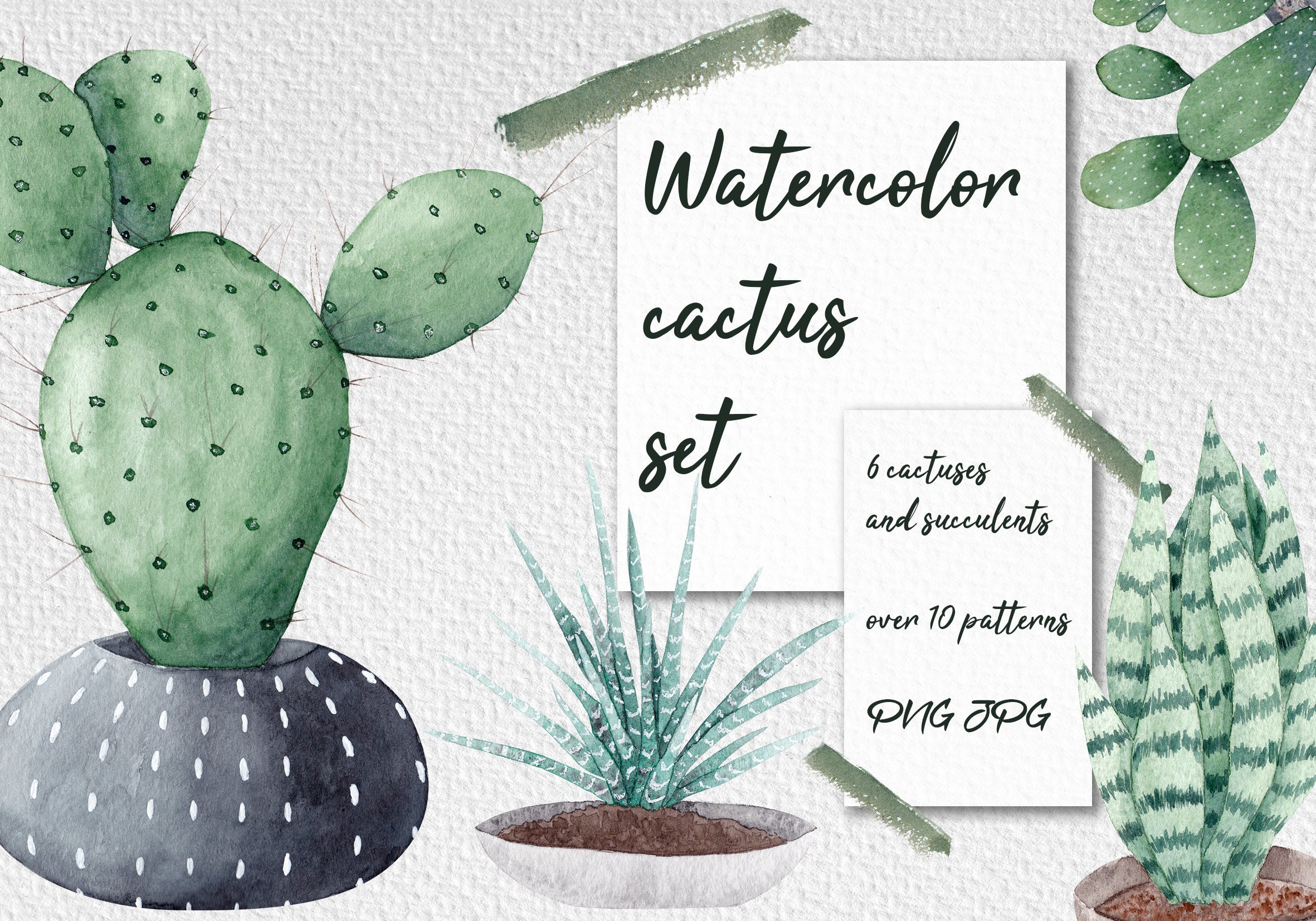 Watercolor Cactus Clipart JPG and PNG, Watercolor Succulents, House ...