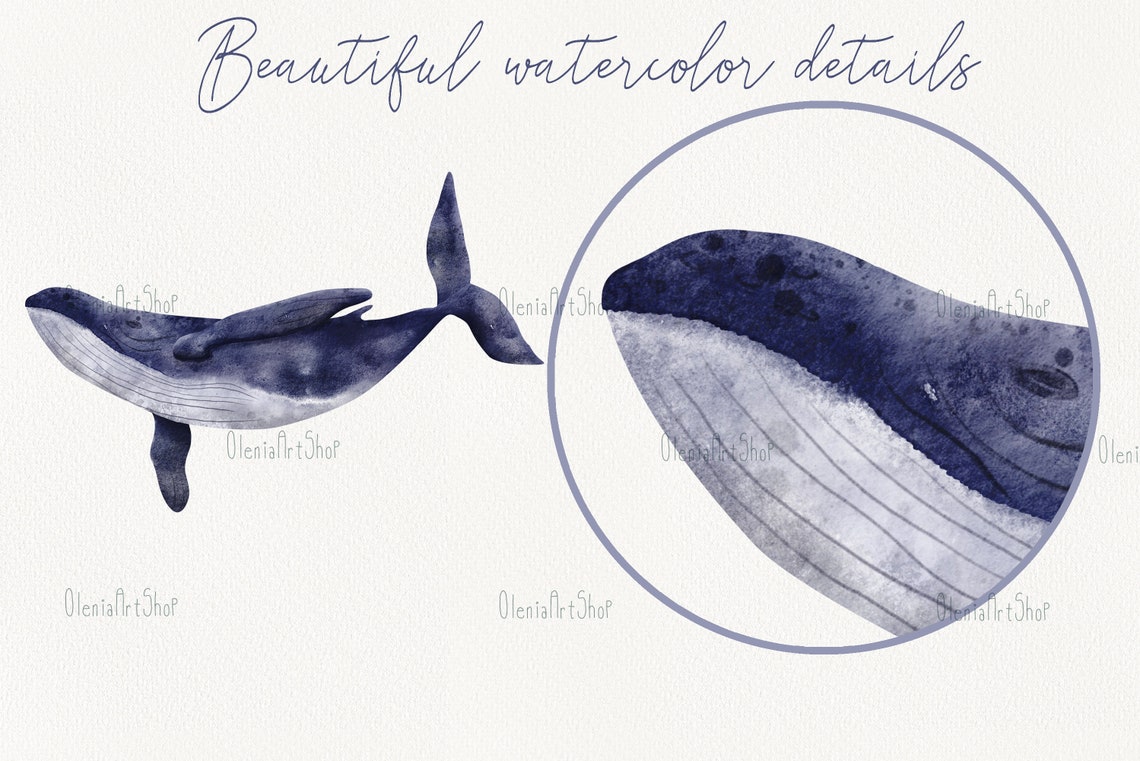 Watercolor Whales Clipart Instant Download Blue Whales - Etsy