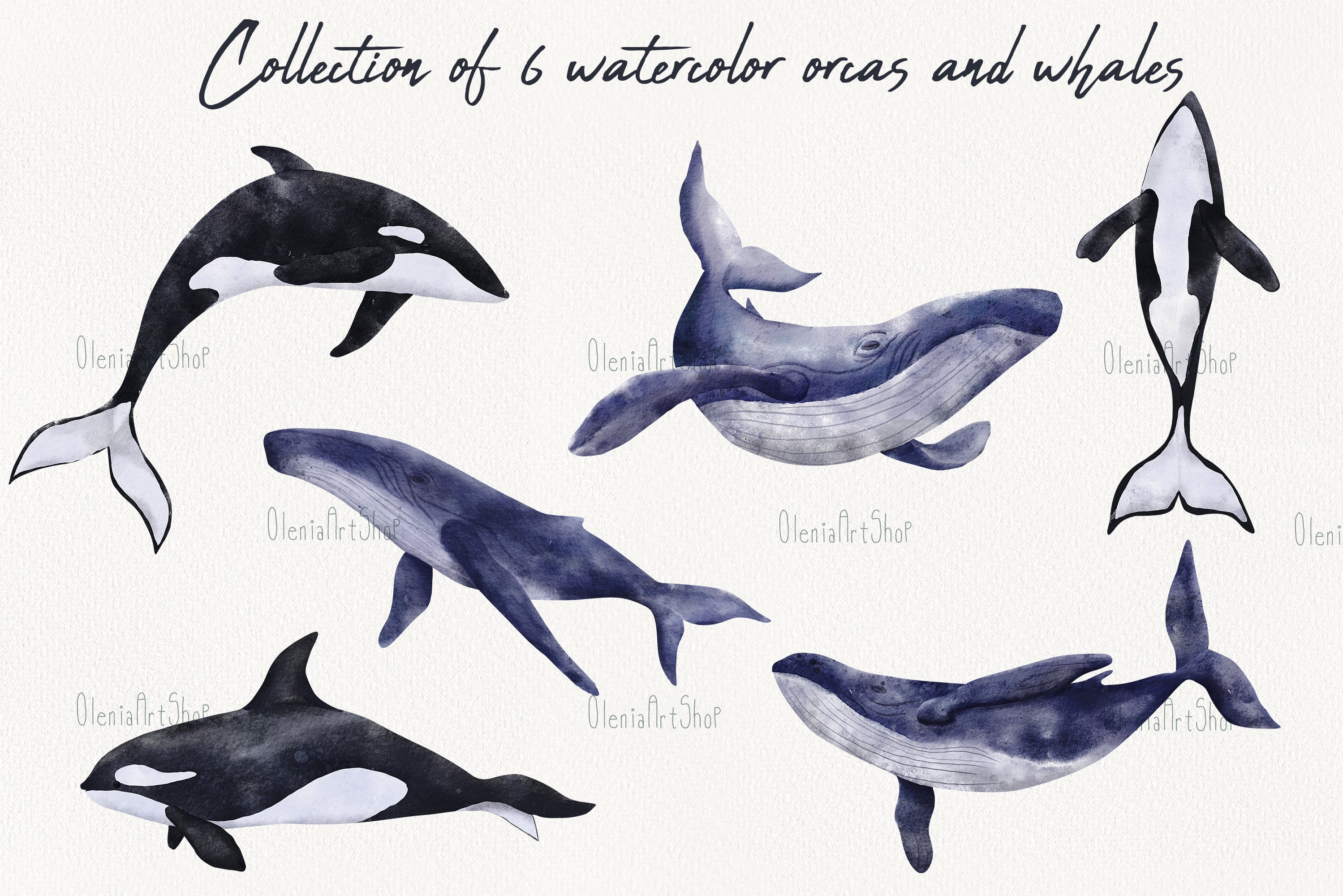 Watercolor Whales Clipart, Instant Download, Blue Whales, Whales Set ...