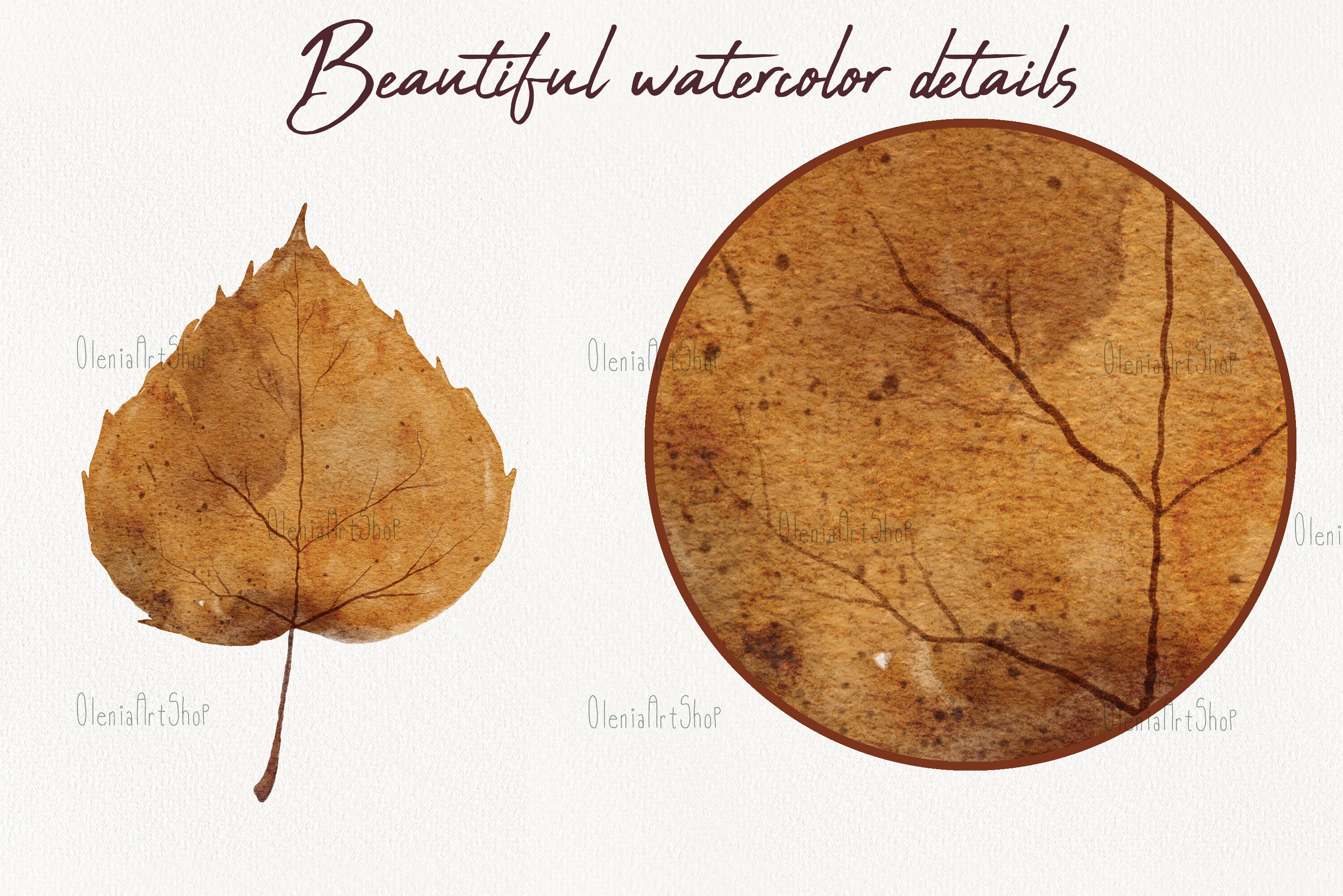 Watercolor Autumn Leaves Clipart, Fall Clipart, Fall Leaves Clipart ...
