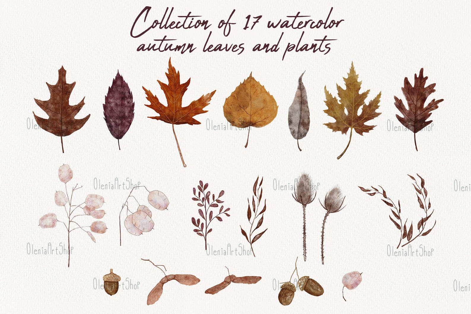 Watercolor Autumn Leaves Clipart Fall Clipart Autumn - Etsy