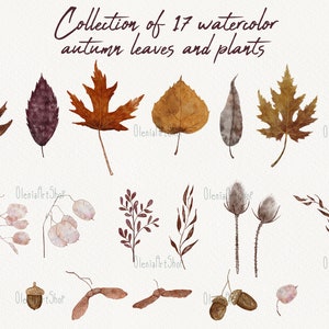 Watercolor Autumn Leaves Clipart, Fall Clipart, Autumn Clipart, Autumn ...