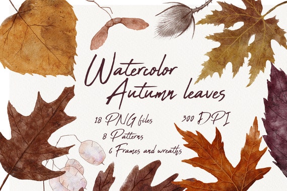 Watercolor Autumn Leaves Clipart Fall Clipart Fall Leaves - Etsy