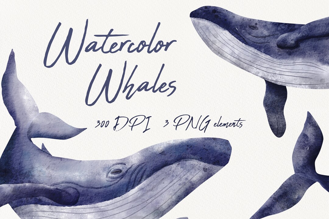 Watercolor Whales Clipart, Instant Download, Blue Whales, Whales Set ...