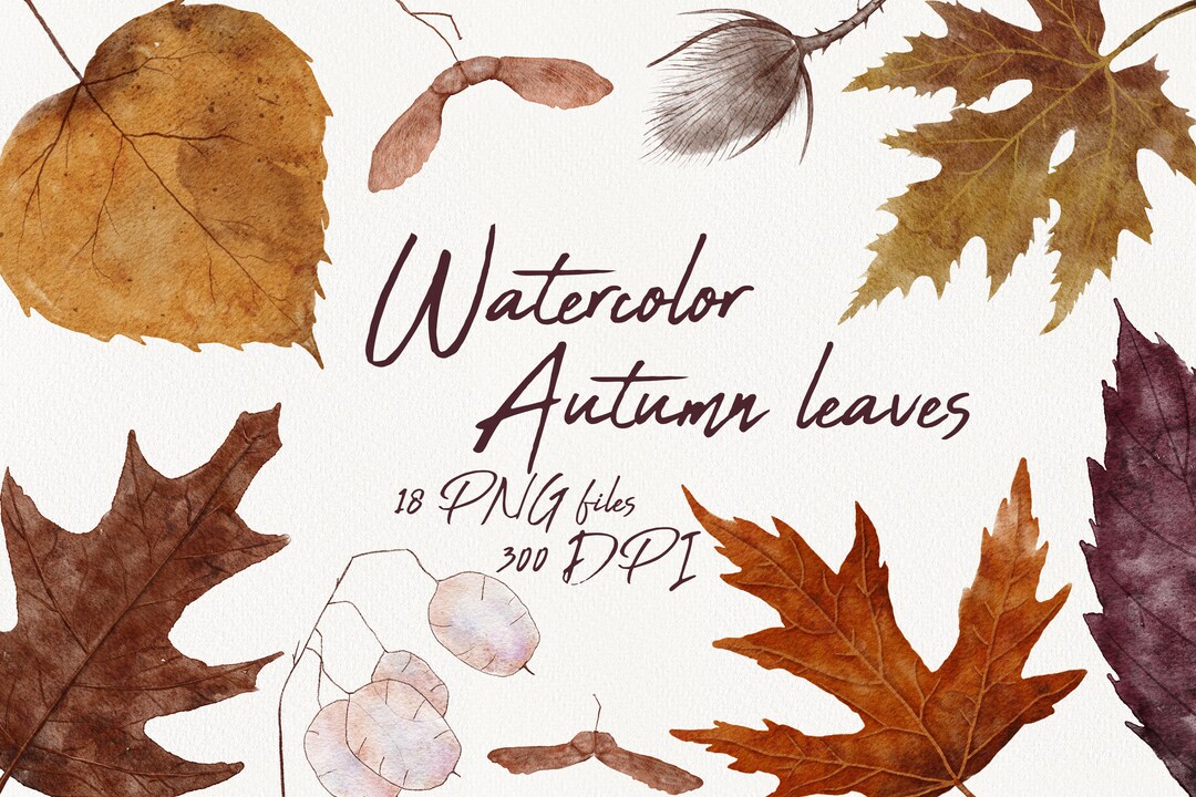 Watercolor Autumn Leaves Clipart, Fall Clipart, Autumn Clipart, Autumn ...